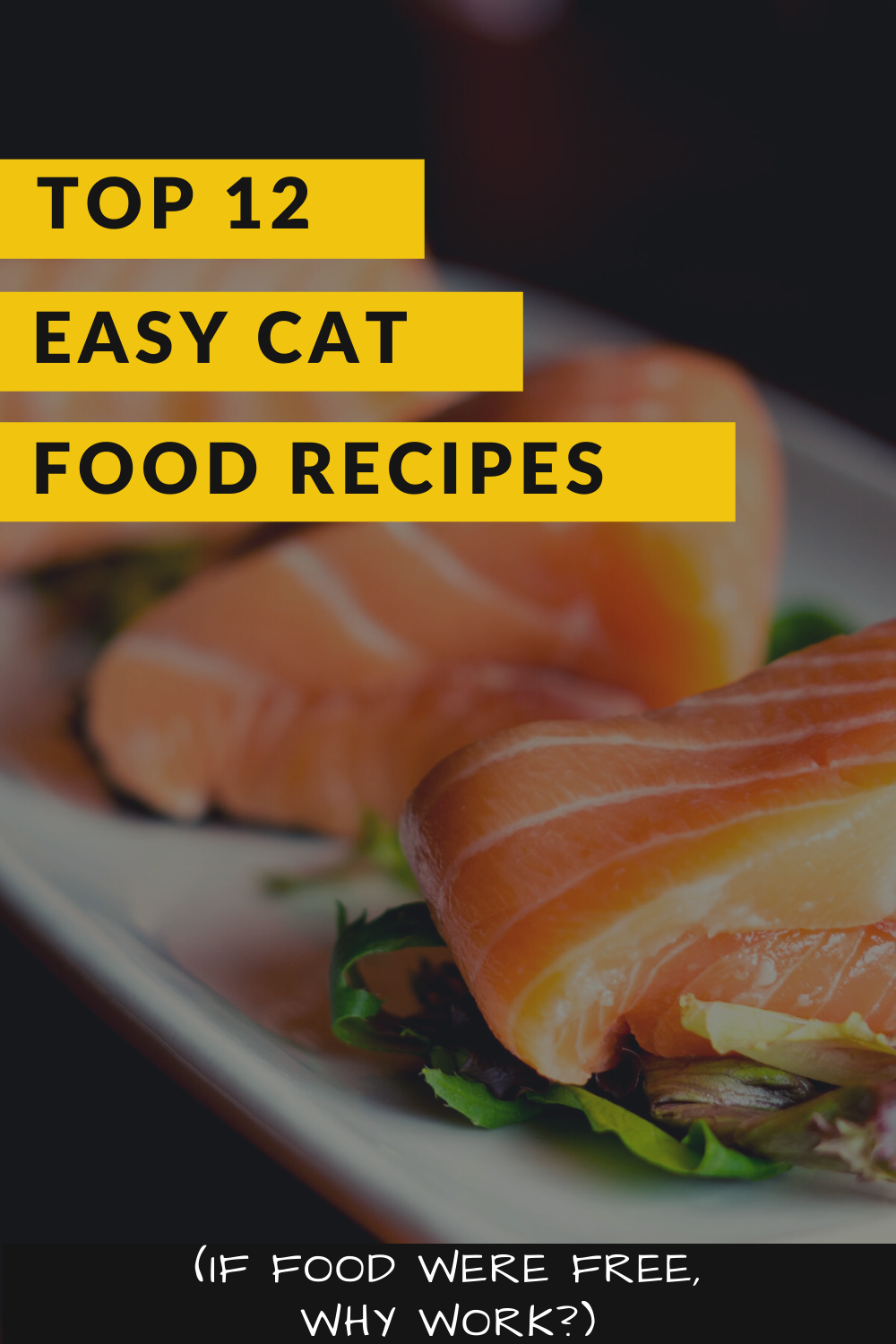 Top 12 Easy Cat Food Recipes , Check #3 Recipe | The Cat Tribe